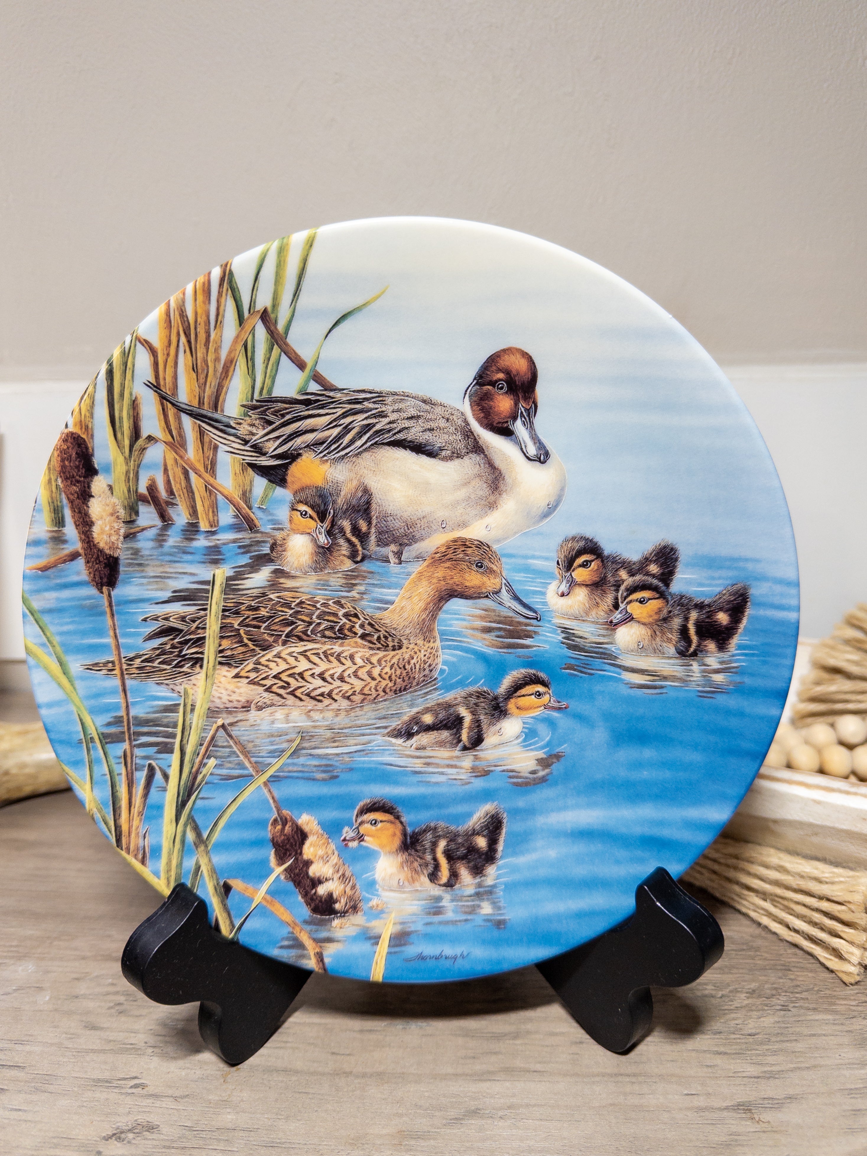 Race Ya Mom! Pintail Duck Collector Plate by Joe Thornbrugh | Knowles ...