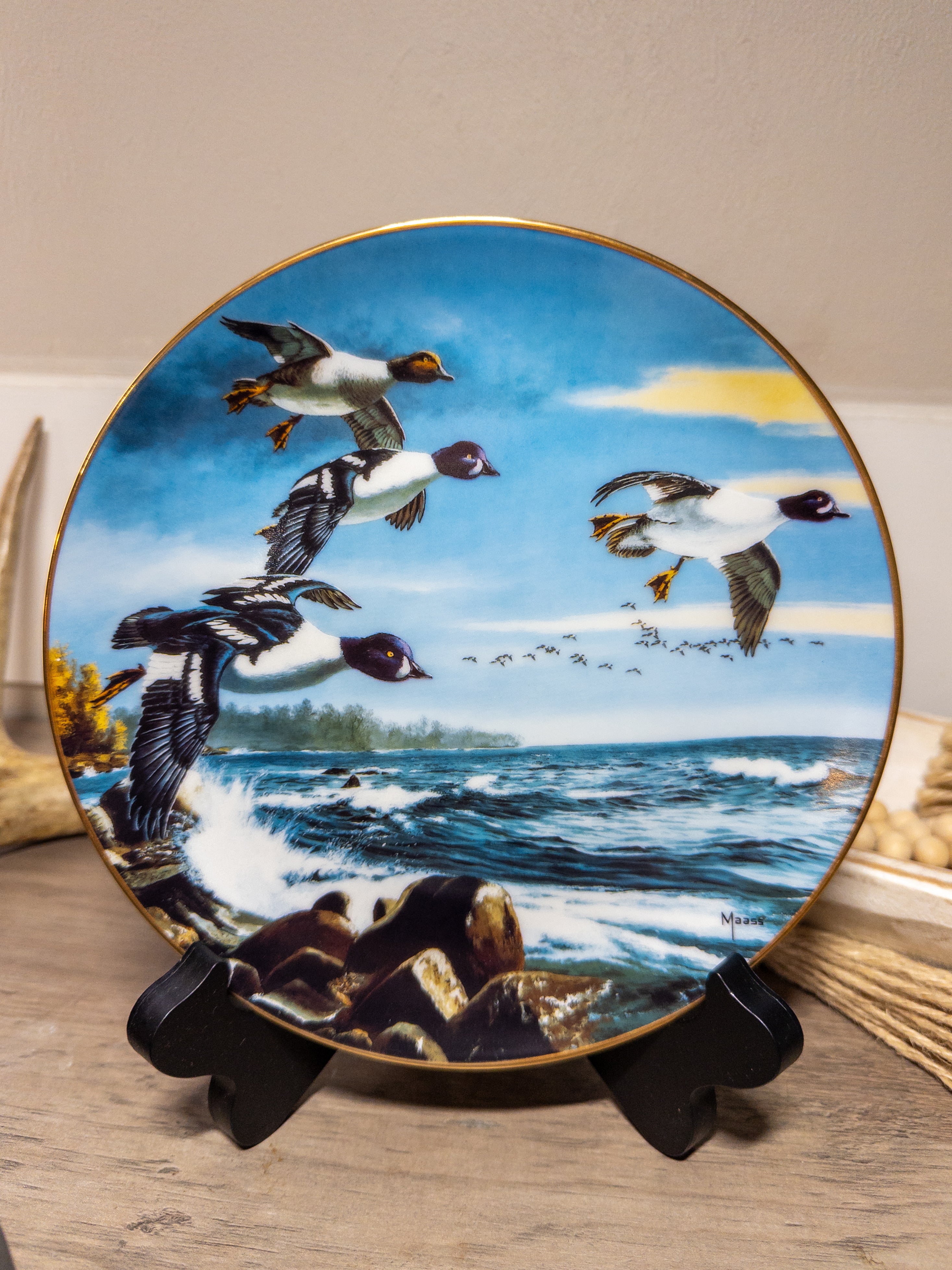 Over Water Barrow’s Goldeneye Duck Collector Plate by David A. Maass ...