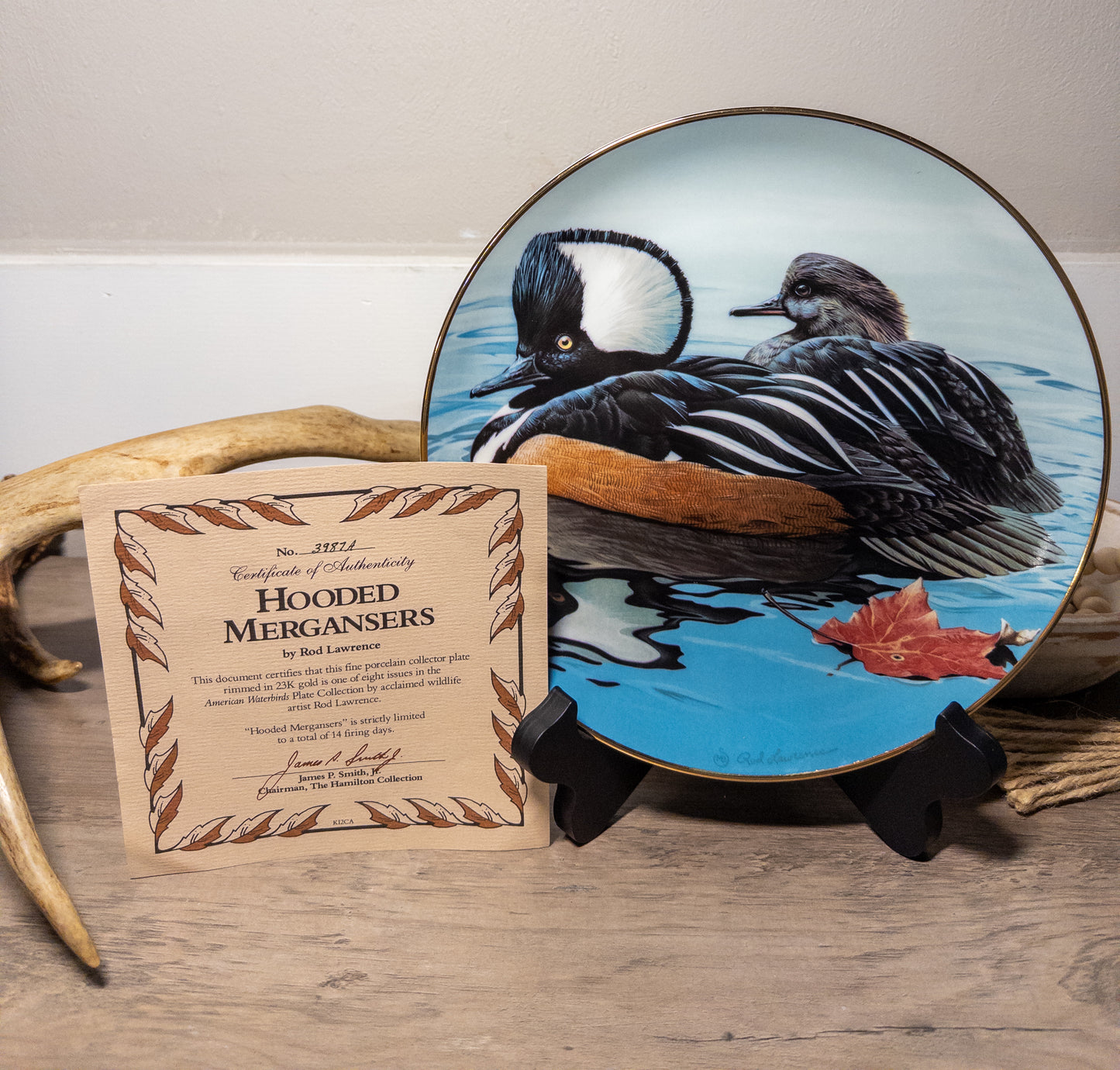 “Hooded Mergansers” by Rod Lawrence | American Waterbirds Collector Pl ...