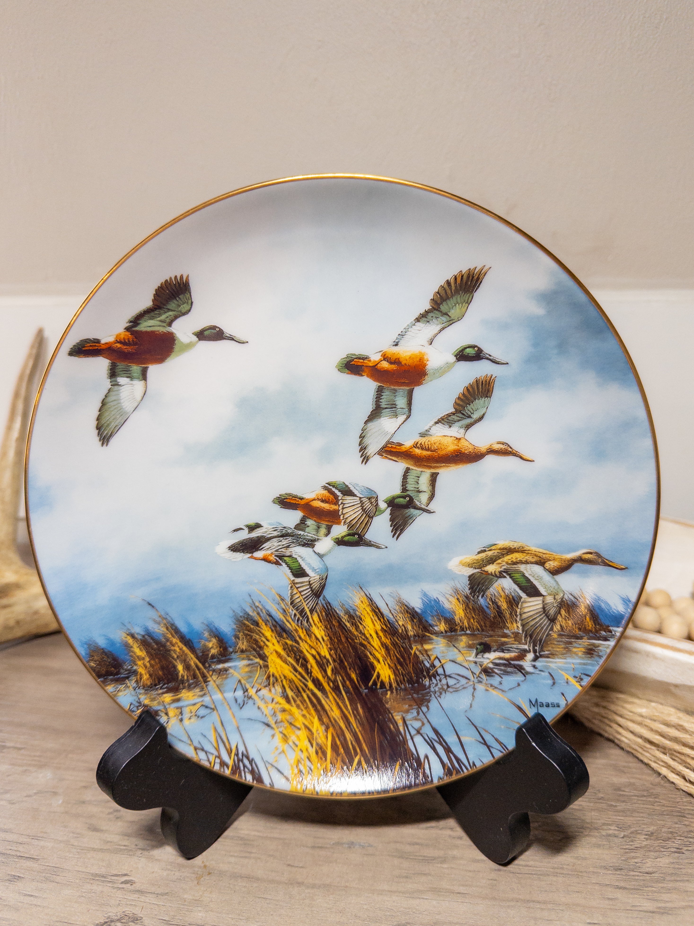 Late Comers Northern Shoveler Duck Collector Plate by David A. Maass ...